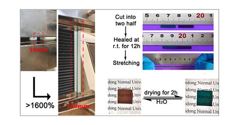 Efficient Room Temperature Self Healing Polyurethane Elastomers With