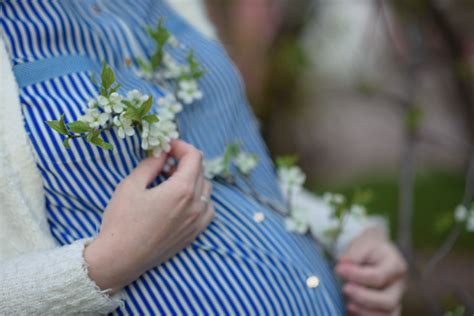 임신한 여자 배입니다 임신 개념입니다 녹색 자연에 배경 흐리게 임신한 배 닫습니다 기대 여성 봄 공원에서 야외 배 감동 민들레 잔뜩 들고 태양 빛 가족에 대한 스톡 사진 및