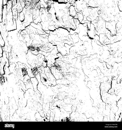 Vector Tree Bark Grayscale Monochrome Decorative Texture Isolated On