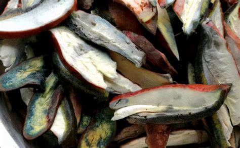 凉拌见手青是什么，说一个人吃了凉拌见手青什么意思 热梗百科