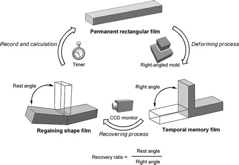 Scheme 3 Schematic Diagram Of Shape Memory Test Download Scientific Diagram