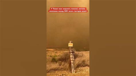 У Техасі жах вирують пожежі вогнем охоплено понад 500 тисяч гектарів землі пожежа техас