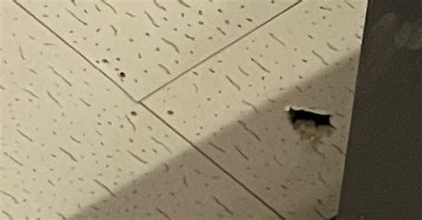 이런건 처음 받아봐서 걱정 많이 했는데 고생 많이 하셨는데도 힘든 티 안내시고 꼼꼼하게 천장까지 막아주셨어요 감사합니다 숨고 숨은고수