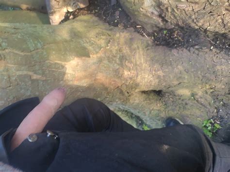 Tree Lover 19 Pics XHamster