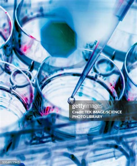 Density Science Photos And Premium High Res Pictures Getty Images