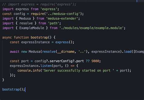 Medusa Develop Command Does Not Work With Medusa Extender Bug Issue Adrien P Medusa