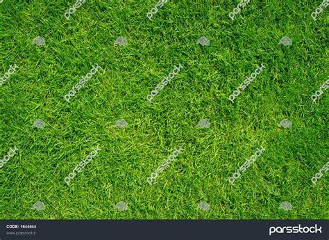 پس‌زمینه بافت چمن سبز نمای بالایی از باغ چمن روشن ایده مورد استفاده
