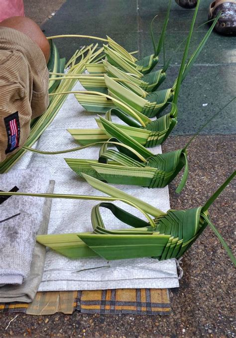 Folded Grasshopper Stock Image Image Of Coconut Palm 50892183