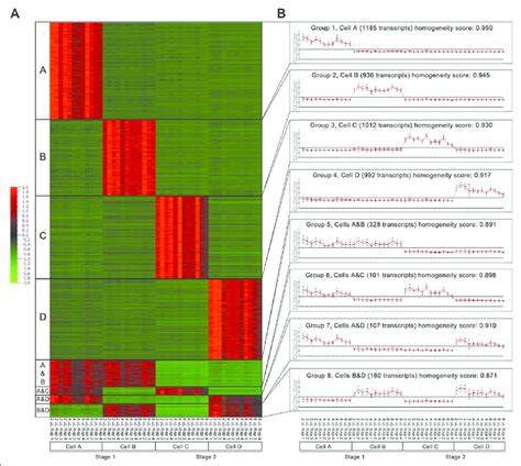 Global Single Cell Gene Expression Analysis By Rna Seq A Heatmap