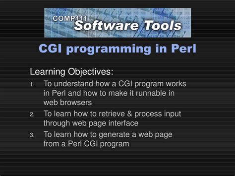 Ppt Beginners Guide To Cgi Programming In Perl Powerpoint