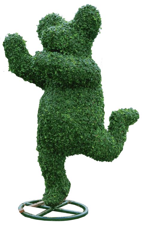 Dancing Bear