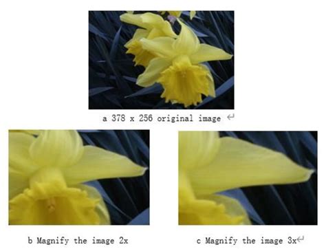 Image After Processing By Bilinear Interpolation Method Download