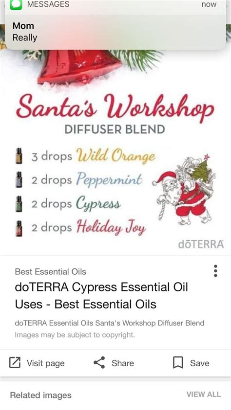 Pin By Andrea Stifle On Diffuser Oil Blends Cypress Essential Oil
