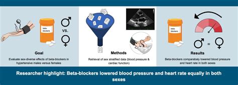 Exploring Sex Differences Of Beta Blockers In The Treatment Of Hypertension A Systematic Review