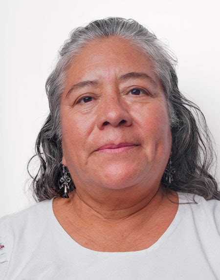 Cortés García Luisa Grupo Parlamentario De Morena En El Senado De La