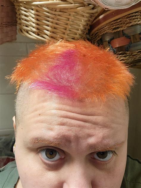 My Orange Is Fading And My Master Hasnt Given Me Directives Yet Tell Me What Would You Do