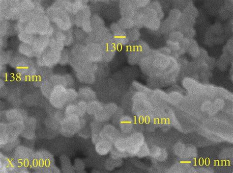 fe sem images at different magnifications × 10 000 and × 50 000 of