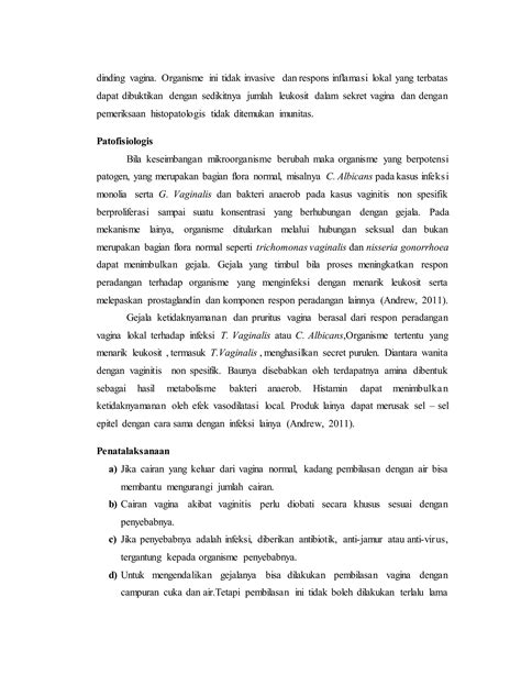 Vaginitis Dan Vulvitis Pdf