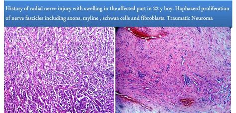 Sayed Attar Posted On Linkedin