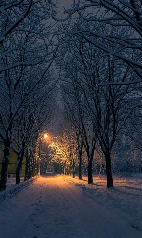 Winter Love Winter Snow Winter Photography Nature Photography