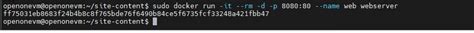 Using NGINX Docker Official Image