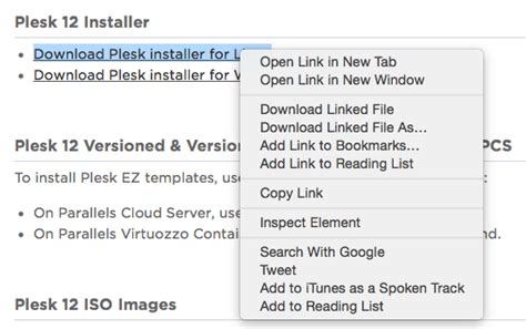 How To Update Plesk Via The Command Line The Wp Guru