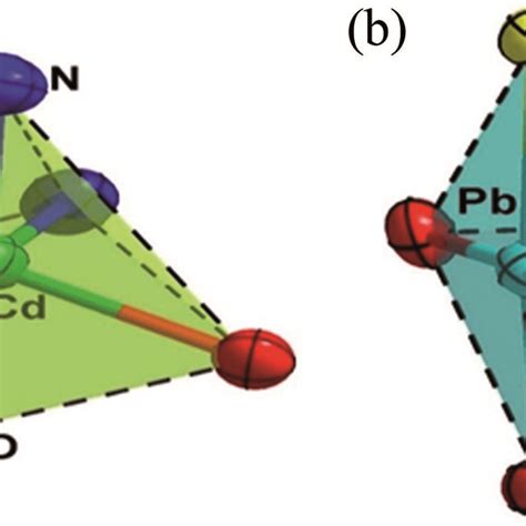 A Distorted Square Pyramidal Geometry Around Cd1 B Distorted