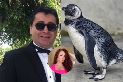 Qué Es Un Pingüino Y Por Qué Janet Barboza Llamó Así Al Esposo De
