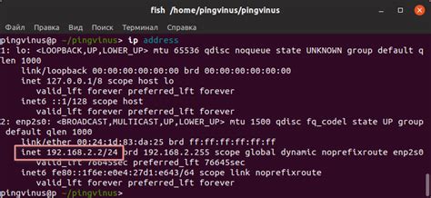 Как узнать Ip адрес используя командную строку Linux Linux статьи