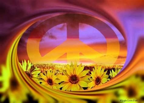 Pennylanecreationsphotosstream Sunflower