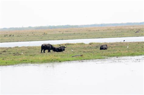 Dsc 2047  Ryan Posner Flickr