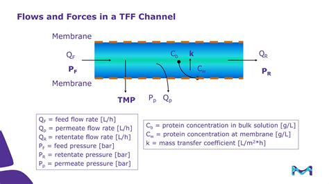 Introduction To Tangential Flow Filtration Tff Pdf Chemistry Science