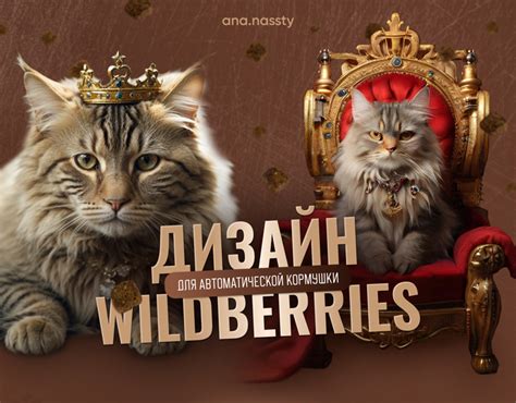 Инфографика для Wildberries :: Behance