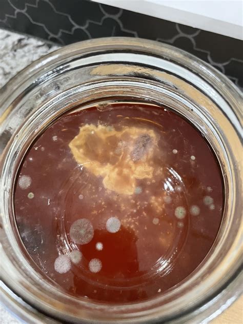 Kombucha Restart Fail R Fermentation