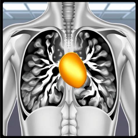 Cpt Code For Cataract Surgery A Comprehensive Guide Wmwtl