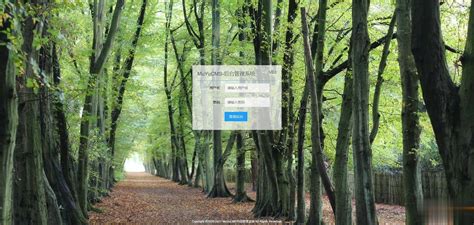 Muyucms V21：一款开源、轻量级的内容管理系统木鱼cms Csdn博客