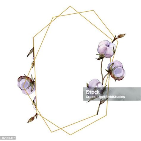 목화 꽃 식물 꽃입니다 야생 봄 잎 플라워 격리입니다 수채화 배경 그림 설정 합니다 수채화 그리기 패션 해당 격리입니다 그리기에 대한 스톡 벡터 아트 및 기타 이미지