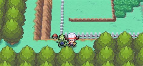 Pokémon Hg Ss Complete Breeding Guide Tips Guide Strats