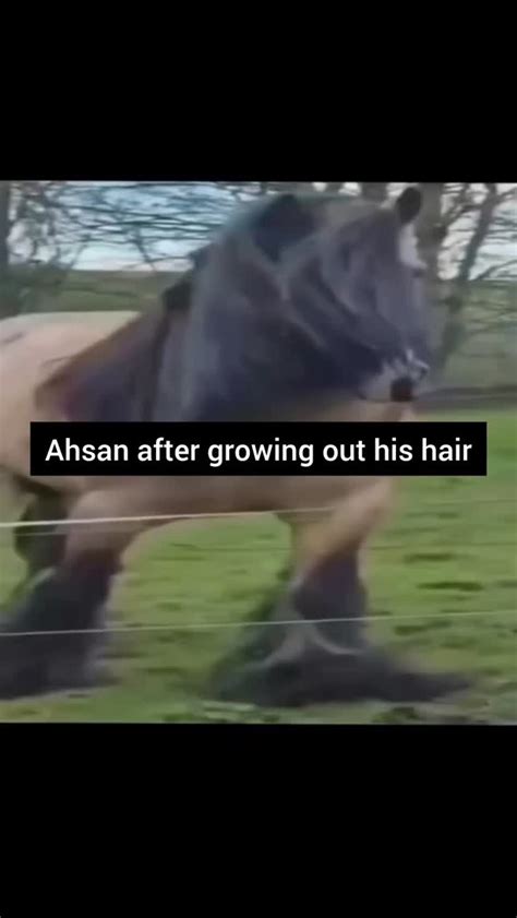 Ahsan Hater Ahsanhater • Instagram Photos And Videos