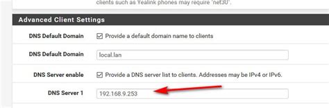 Openvpn Dns Issues On Windows Netgate Forum