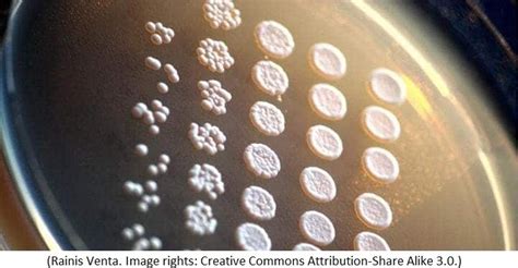 Ancient And Modern Genetic Modularity