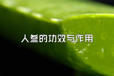 人叁的功效与作用 功效与作用 中药健康网