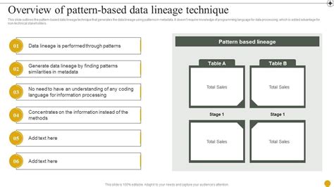 Data Lineage It Overview Of Pattern Based Data Lineage Technique Ppt Presentation Pictures