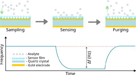 Simplified Schematic Gas Detection Using Functionalized Qcm Sensors