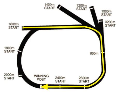 2025 全球纯血马一级赛周报0414 0420 哔哩哔哩