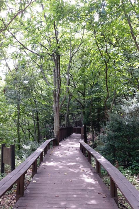 전북 고창 실버타운 서울시니어스 고창타워 가격 생활비 주거 부대시설 알아보기 은퇴설계자들 네이버 블로그