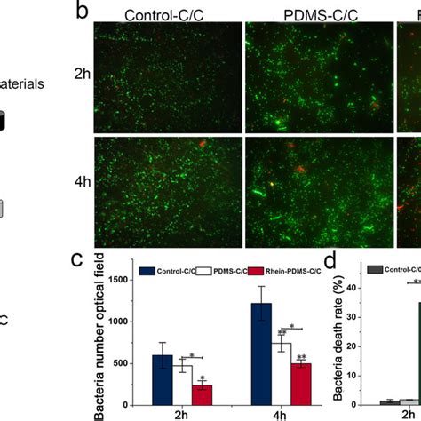 A Biphasic Waveform Generation Circuit And B Generated Waveform At Download Scientific