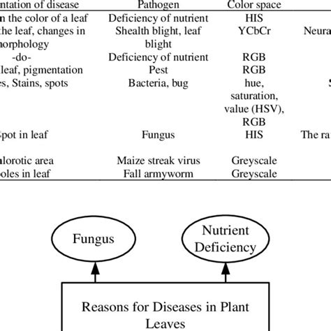 Trends Towards Accuracy Concerning Images Download Scientific Diagram
