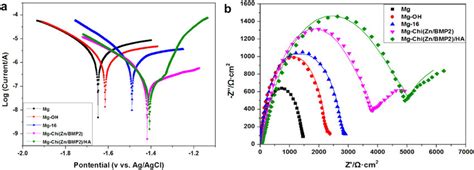 The Electrochemical Polarization Curves And Electrochemical Impedance