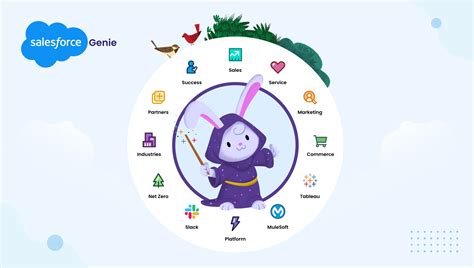 Rapitek Blog Get Detailed Information About Salesforce